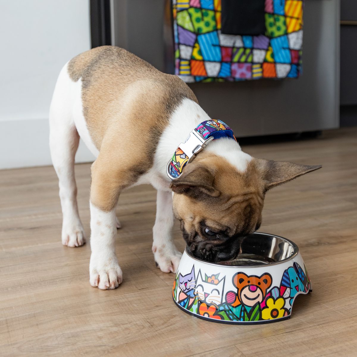 New Britto Brand 2023 - Britto.com